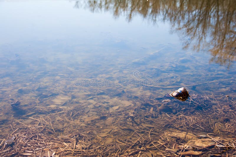 Garbage Waste on the Shore of a River Stock Photo - Image of plastic ...