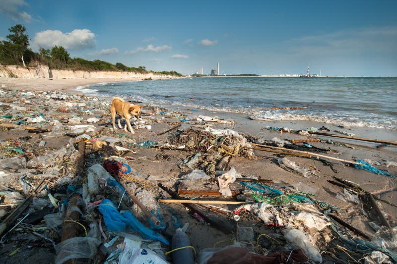 Garbage and Wastes on the Beach Stock Image - Image of pollution ...