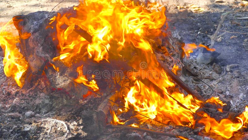 Ashes of a Fire Flying in the Air on a Black Background 4k Stock ...
