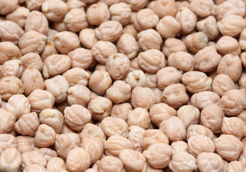 Garbanzo beans stock image. Image of nutritional, diet - 9914277