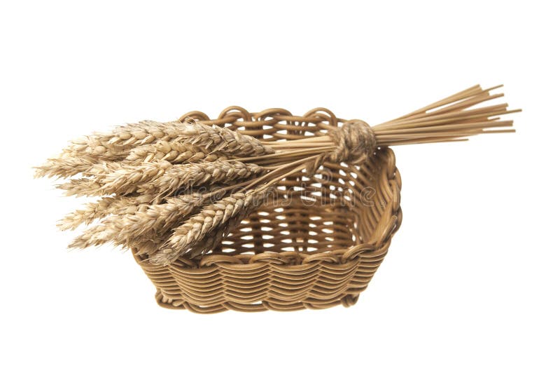 Garbe Weizen in Einem Weidenkorb Stockbild - Bild von frisch, saatgut ...
