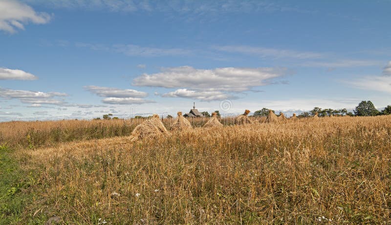 Garben Auf Dem Roggengebiet Stockbild - Bild von holz, himmel: 65875181