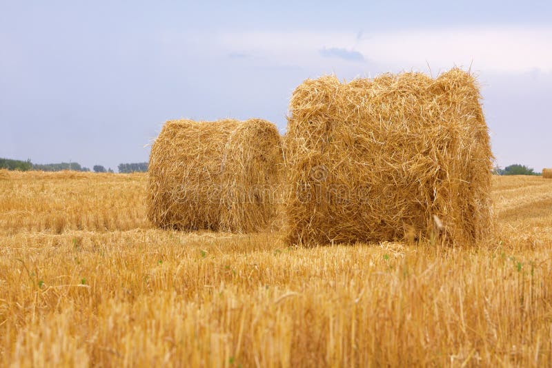 Garben Heu Werden Eingesetzt Gegen Die Fassade Einer Scheune in Heilig ...