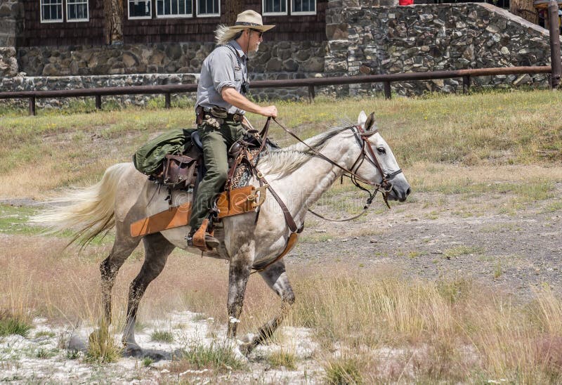 Garde Forestier De Yellowstone Photo éditorial - Image du rocheuses ...
