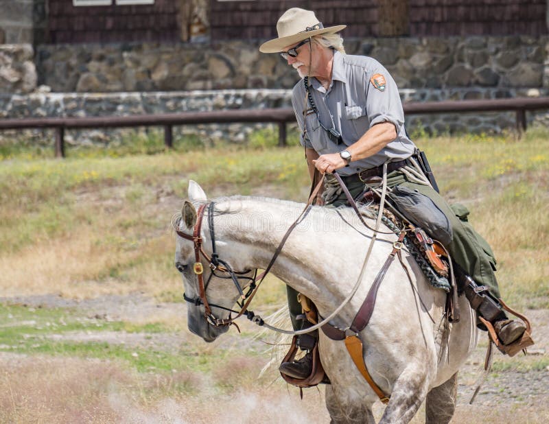 Garde Forestier De Yellowstone Image stock éditorial - Image du ...