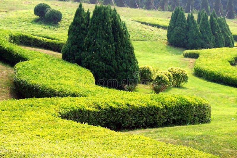 Garden stock photo. Image of remote, front, land, outdoor - 10079090