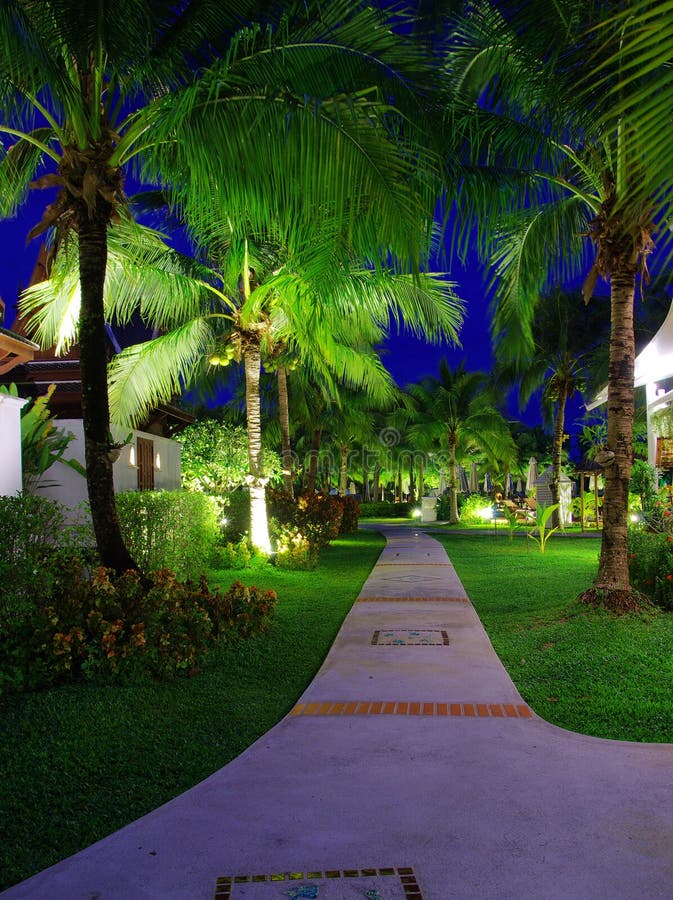 Backyard Garden Path at Night Stock Image - Image of plant, nature ...