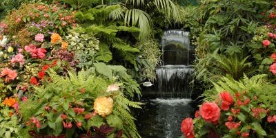 The Garden stock photo. Image of tranquility, eden, victoria - 4076574