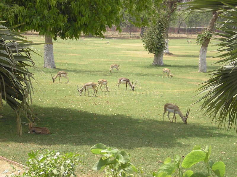 Italian Garden at Kensington Gardens Stock Image - Image of courtyard ...