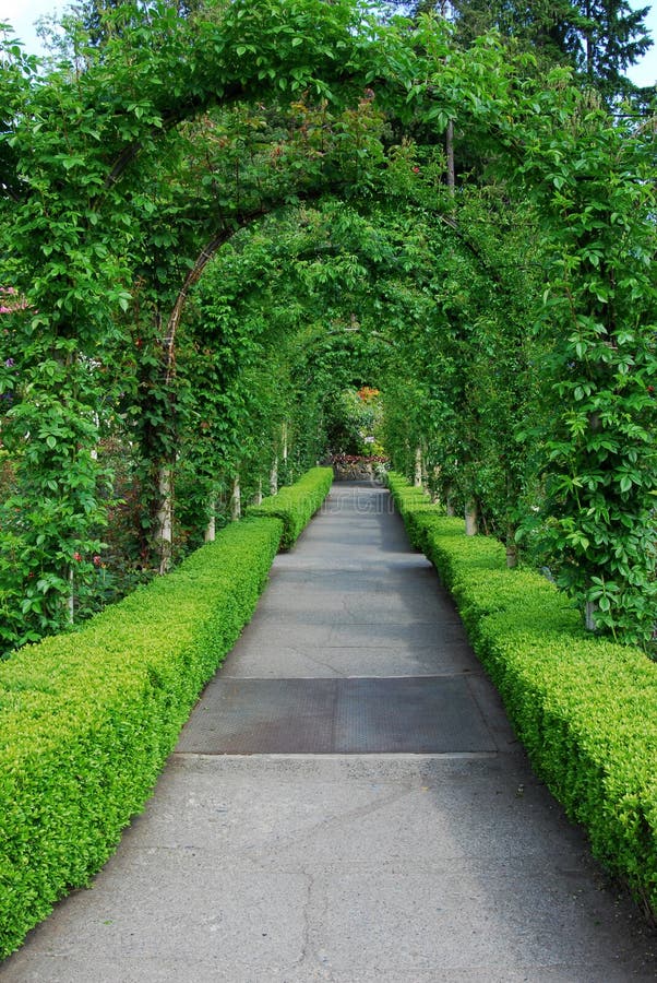 Garden arches and path stock photo. Image of fresh, green - 5838836