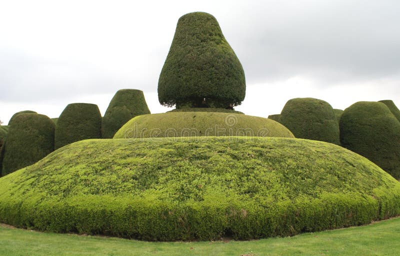 Garden Art. Garden Design. Topiary Trees Stock Image - Image of ...