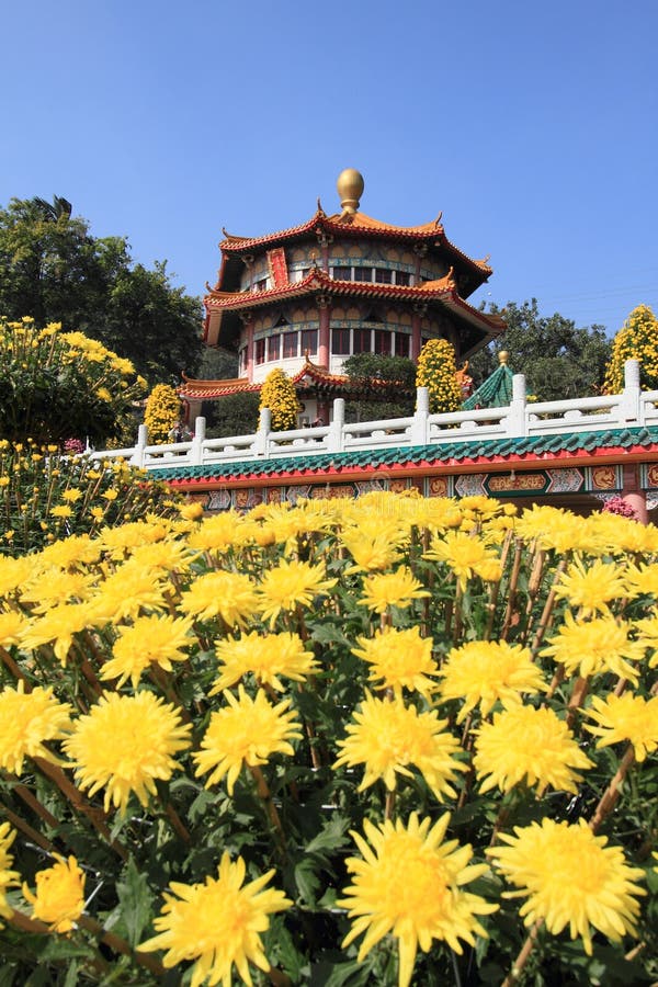 Garden in Autumn, Hong Kong Stock Photo - Image of flower, floral: 34857588