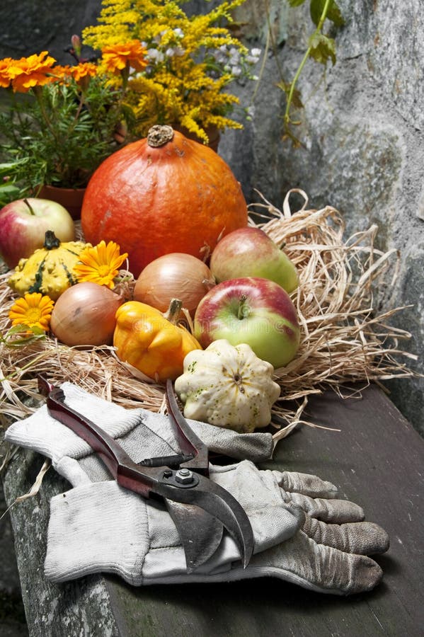 Autumn Still Life with Autumn Flowers Stock Photo - Image of harvest ...