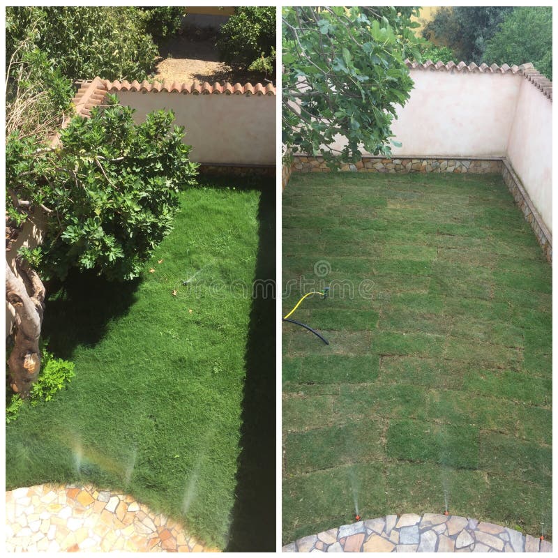 Garden before and Avete Grass Growing Stock Image - Image of avete ...