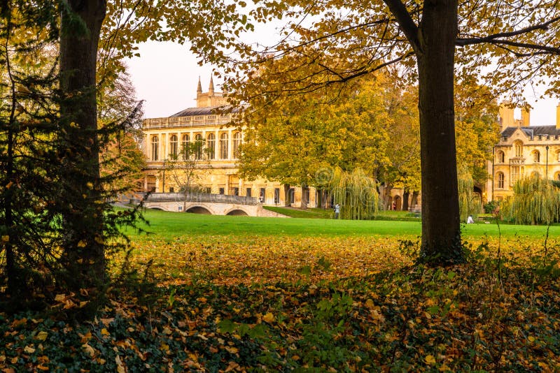 Garden at the Back of Trinity College in Autumn, Cambridge, UK Stock ...