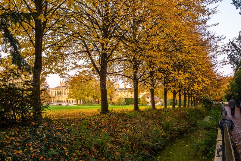 Garden at the Back of Trinity College in Autumn, Cambridge, UK Stock ...