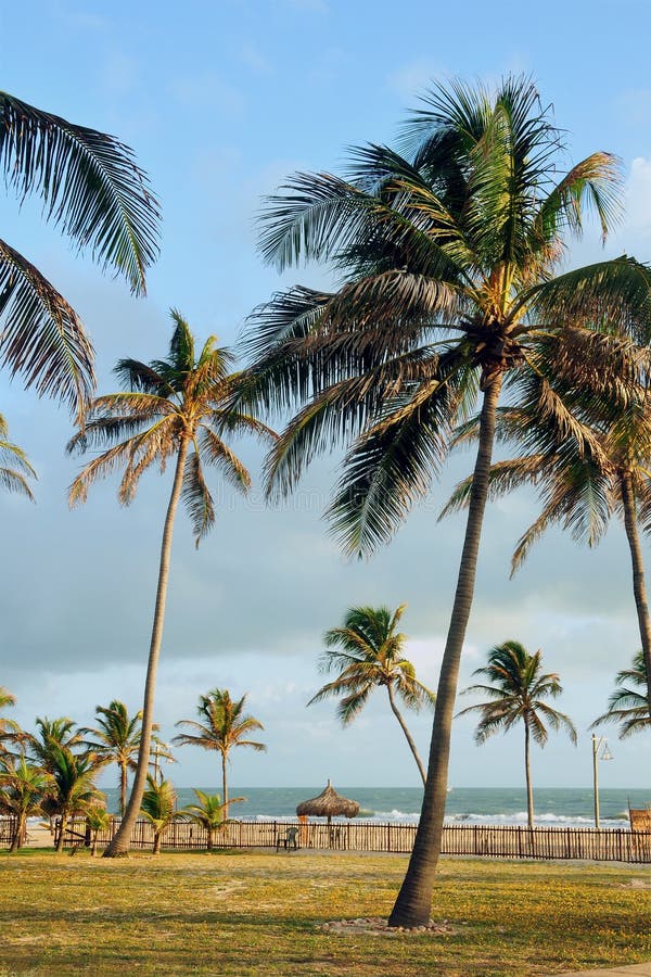 Garden beach resort stock photo. Image of garden, beach - 7754554