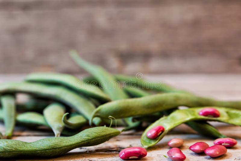 Garden beans stock photo. Image of bush, garden, blossom - 75452904