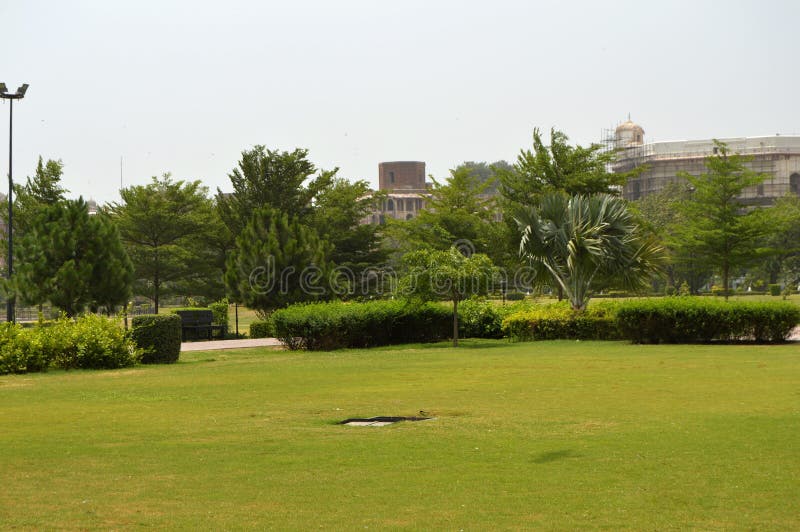 GARDEN with BEAUTIFUL GREEN TREE 02 Stock Photo - Image of garden ...