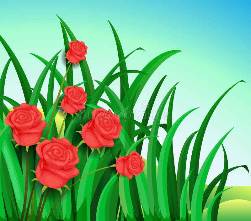 A Garden with Beautiful Red Roses Stock Illustration - Illustration of ...