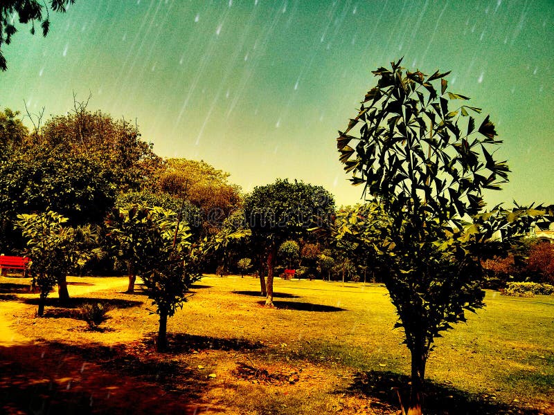 Garden Beauty stock photo. Image of normal, garden, falling - 53475564