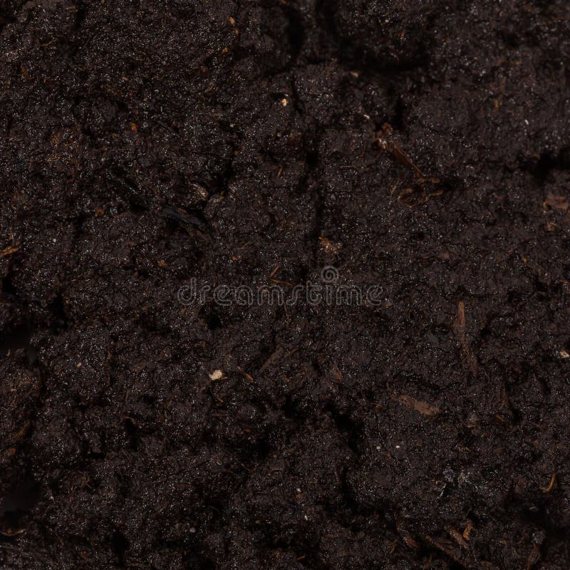 Garden Beds of Fertile Soil Close-up Stock Image - Image of brown ...