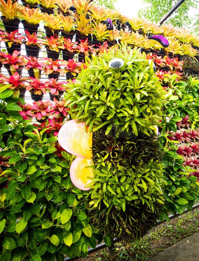 Garden of bee stock photo. Image of garden, shape, floral - 271574964