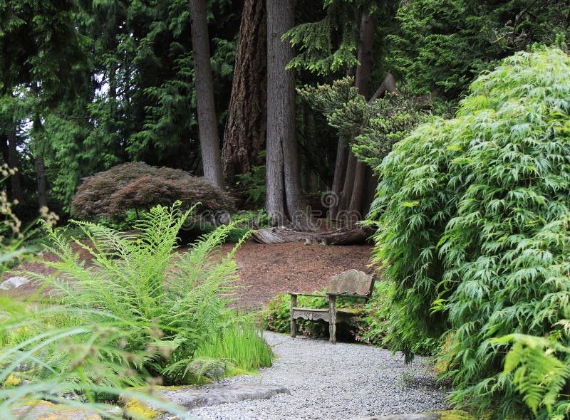 Garden Bench stock image. Image of foliage, solitude - 14835021