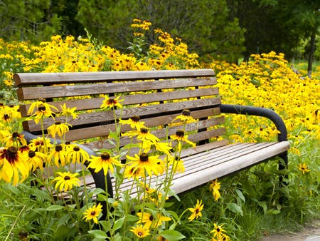 Garden bench stock image. Image of idyllic, daisy, nature - 21225201