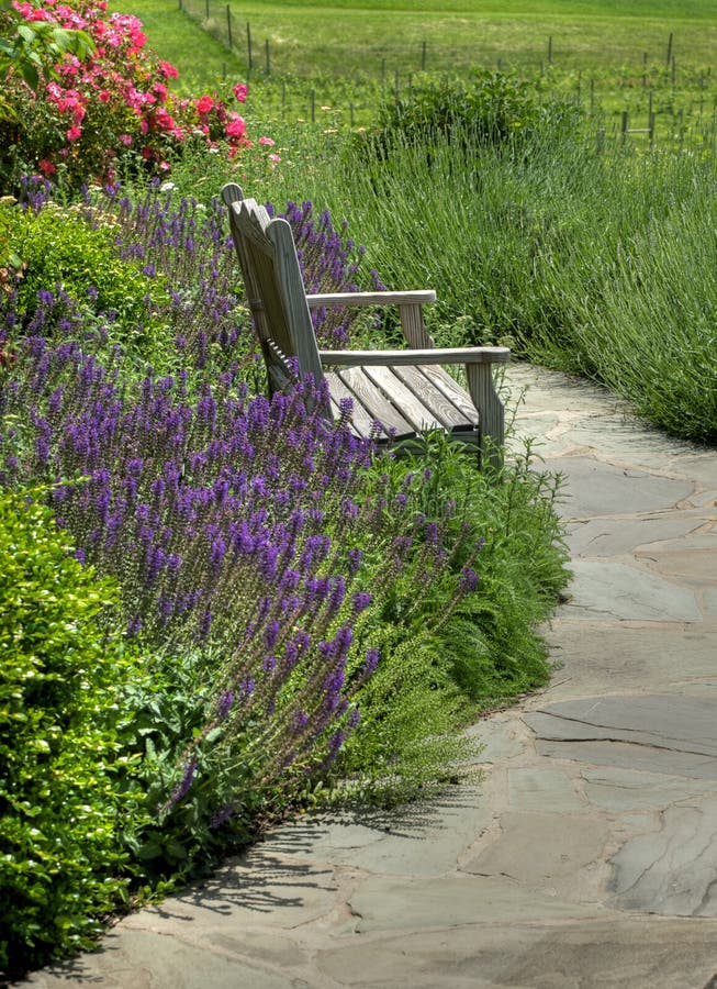 Garden bench stock image. Image of residential, bench, shrubs - 812835
