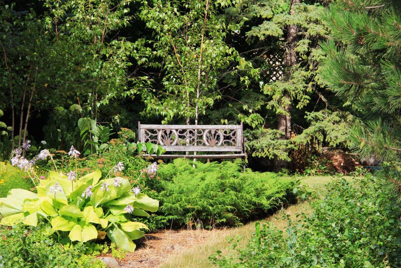 Bench in Natural Landscaping Home Garden. Stock Photo - Image of yard ...