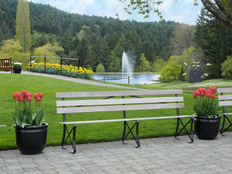 Garden bench in the spring stock image. Image of tulips - 65056355