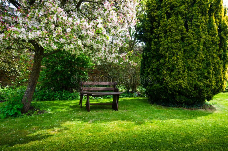 Garden bench stock photo. Image of country, peaceful - 31968616