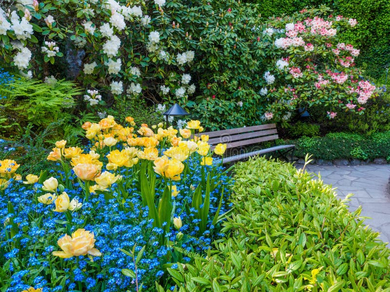 Garden bench stock image. Image of walkway, bench, vegetation - 89917235