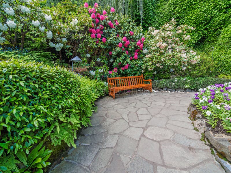 Garden bench stock photo. Image of spring, bench, greenery - 54397934