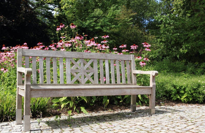 Garden bench stock image. Image of purpurea, wooden, flowers - 30921945