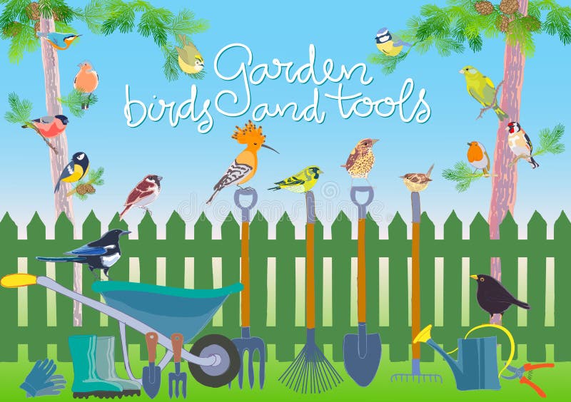Garden birds and tools set stock vector. Illustration of vector - 96319152