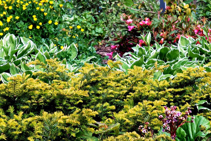 Garden in bloom stock photo. Image of seasons, english - 31413588