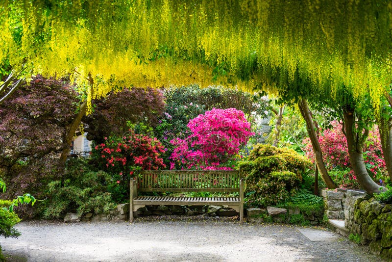 Garden with Blooming Trees during Spring Time Stock Image - Image of ...