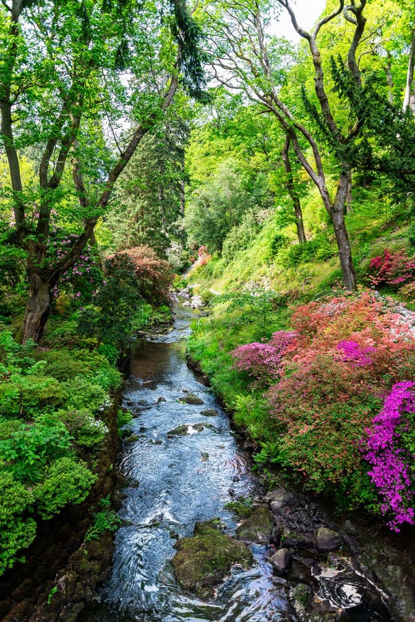 Garden with Blooming Trees during Spring Time Stock Image - Image of ...