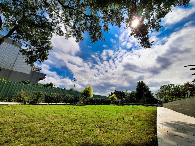 Garden Blue Sky Back Yard Sunshine Stock Photo - Image of sunshine ...