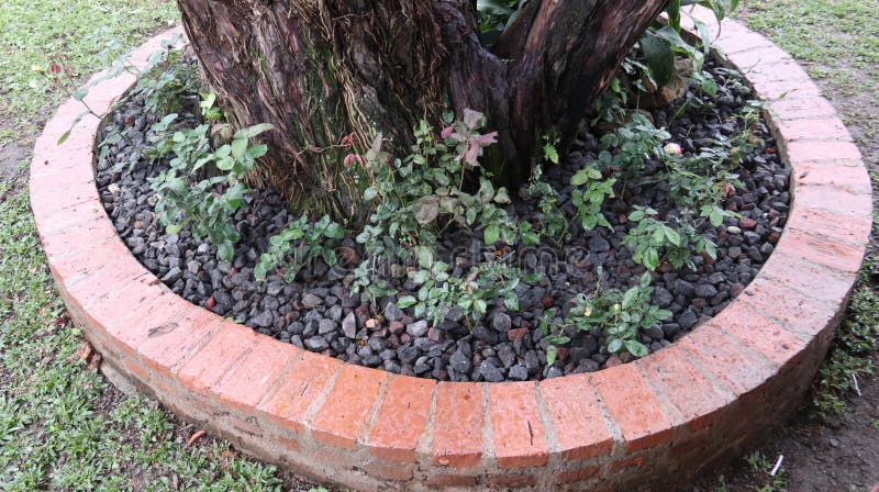 Garden Bricks Pot Stone Plants Stock Image - Image of shrub, woodland ...