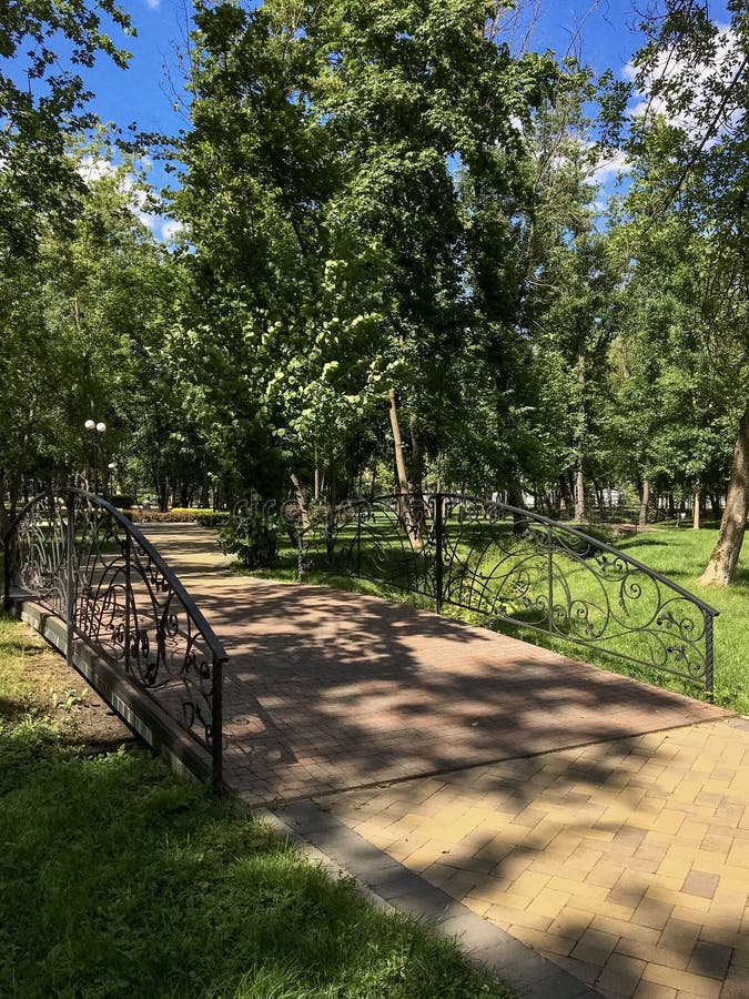 Garden stock photo. Image of figured, railings, grass - 192771294