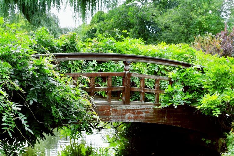 Garden bridge, London stock photo. Image of wooden, river - 11598118