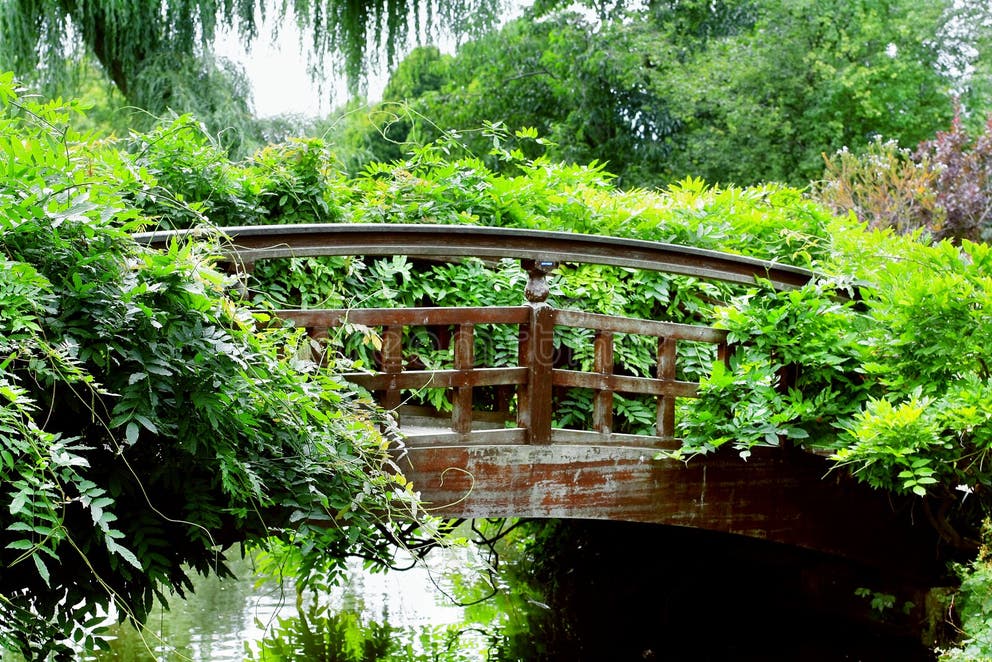 Garden bridge, London stock photo. Image of wooden, river - 11598118