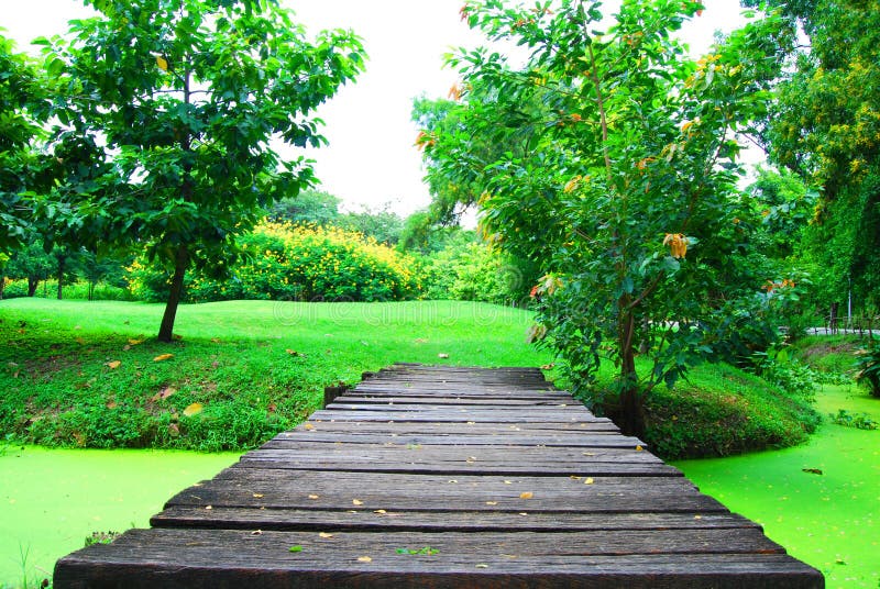 Garden Bridge stock image. Image of wooden, nature, exterior - 58572529