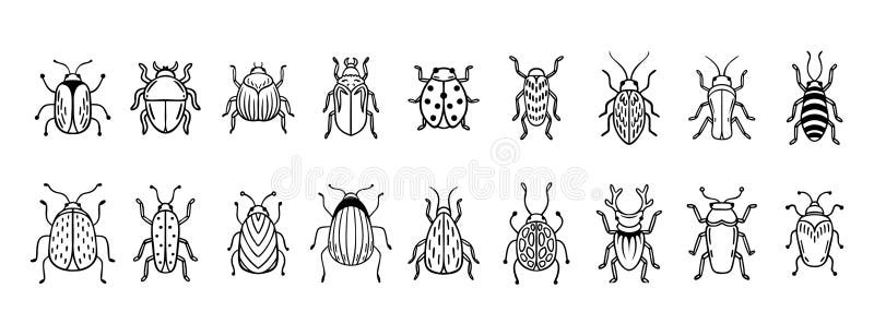 Garden Bugs Hand Drawn Outline Doodle Icon Set. Garden Bugs Drawing ...