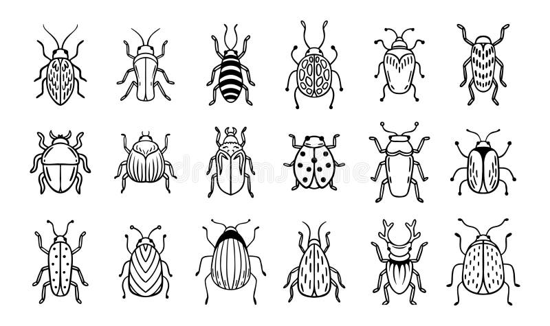 Garden Bugs Hand Drawn Outline Doodle Icon Set. Garden Bugs Drawing ...