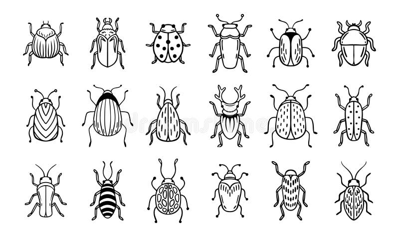 Garden Bugs Hand Drawn Outline Doodle Icon Set. Garden Bugs Drawing ...