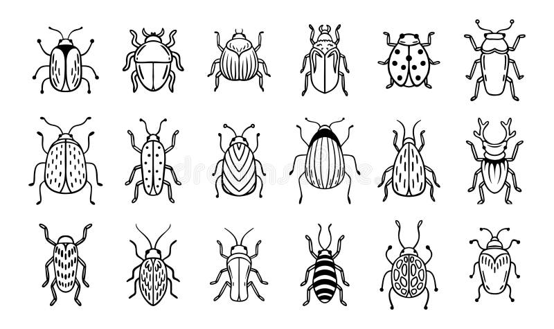 Garden Bugs Hand Drawn Outline Doodle Icon Set. Garden Bugs Drawing ...